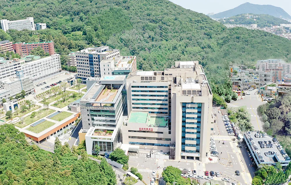 Can Busan Become a Global Medical Tourism Hub? | Breeze in Busan
